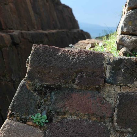 Our Story - Native Trails